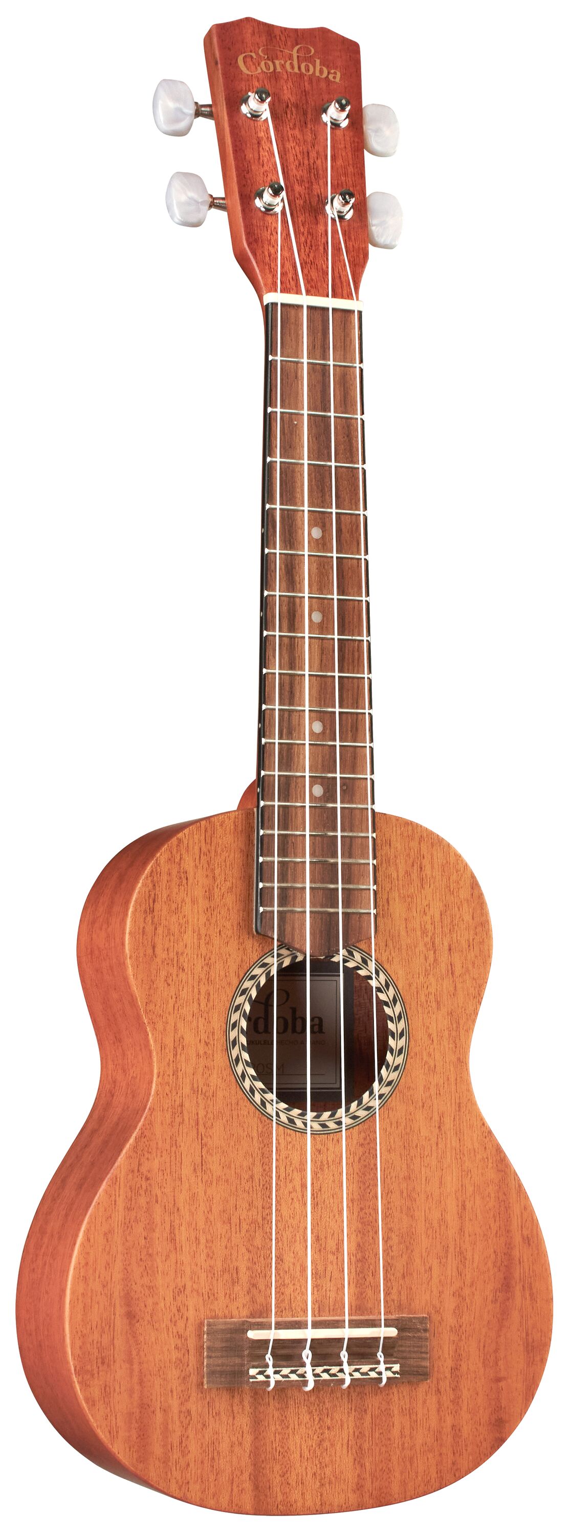 20SM - Cordoba Guitars